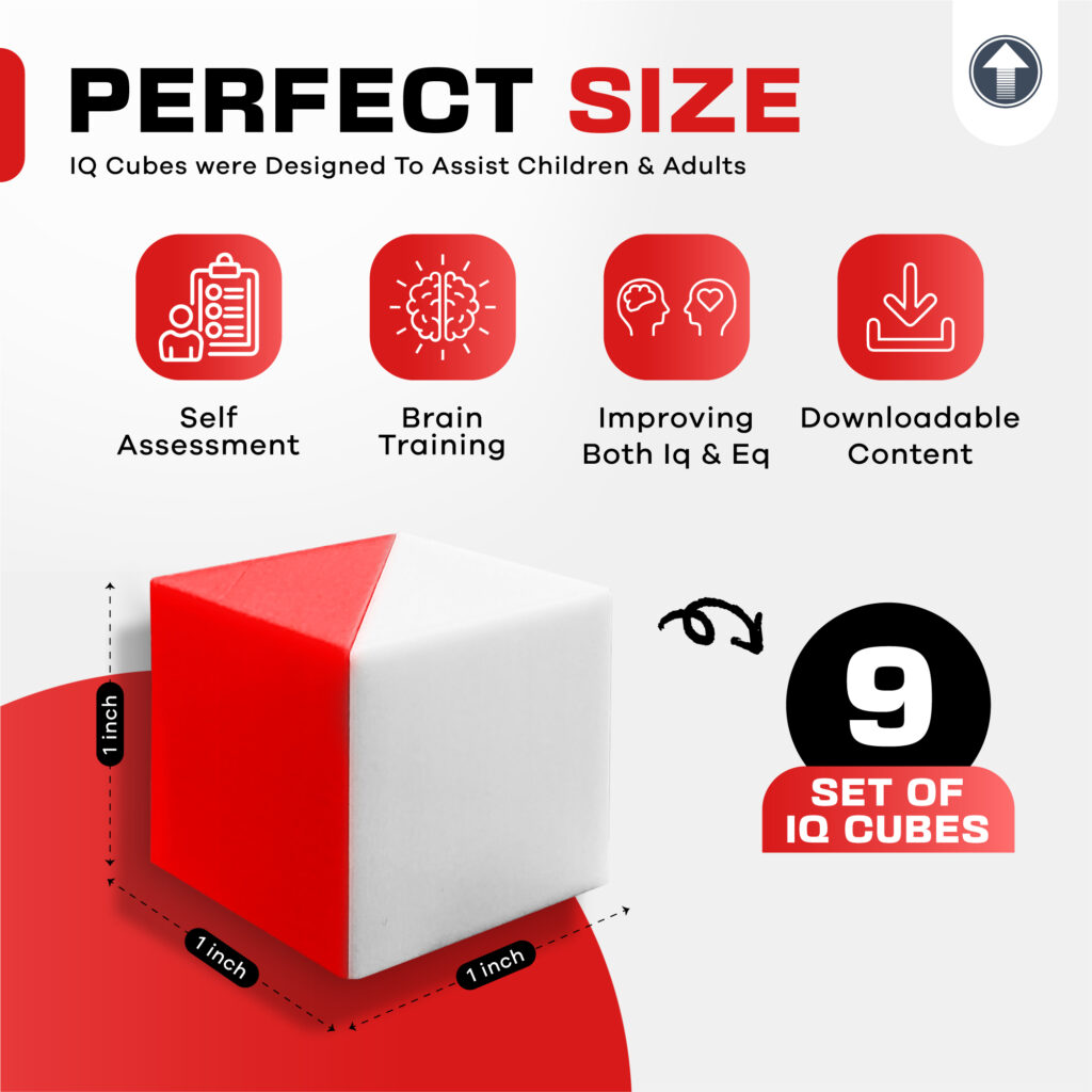 PrfcNL IQ Test Cubes in Red for WISC-V, WAIS-IV, WPPSI, BDT